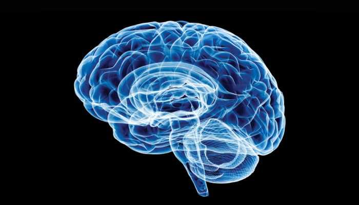 China is working on ‘brain-control weaponry’ that ‘paralyzes and ...