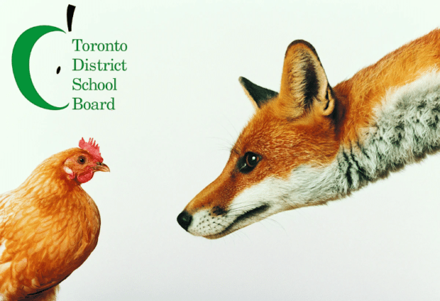 Ontario Education Minister Orders Investigation Into Schools’ Field ...