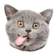 It’s got a good beat and you can dance to it – Blazingcatfur