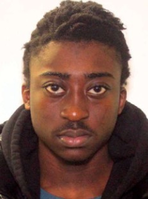 18-year-old Sheldon Tracy-Stewart accused of firing gun at U.S ...
